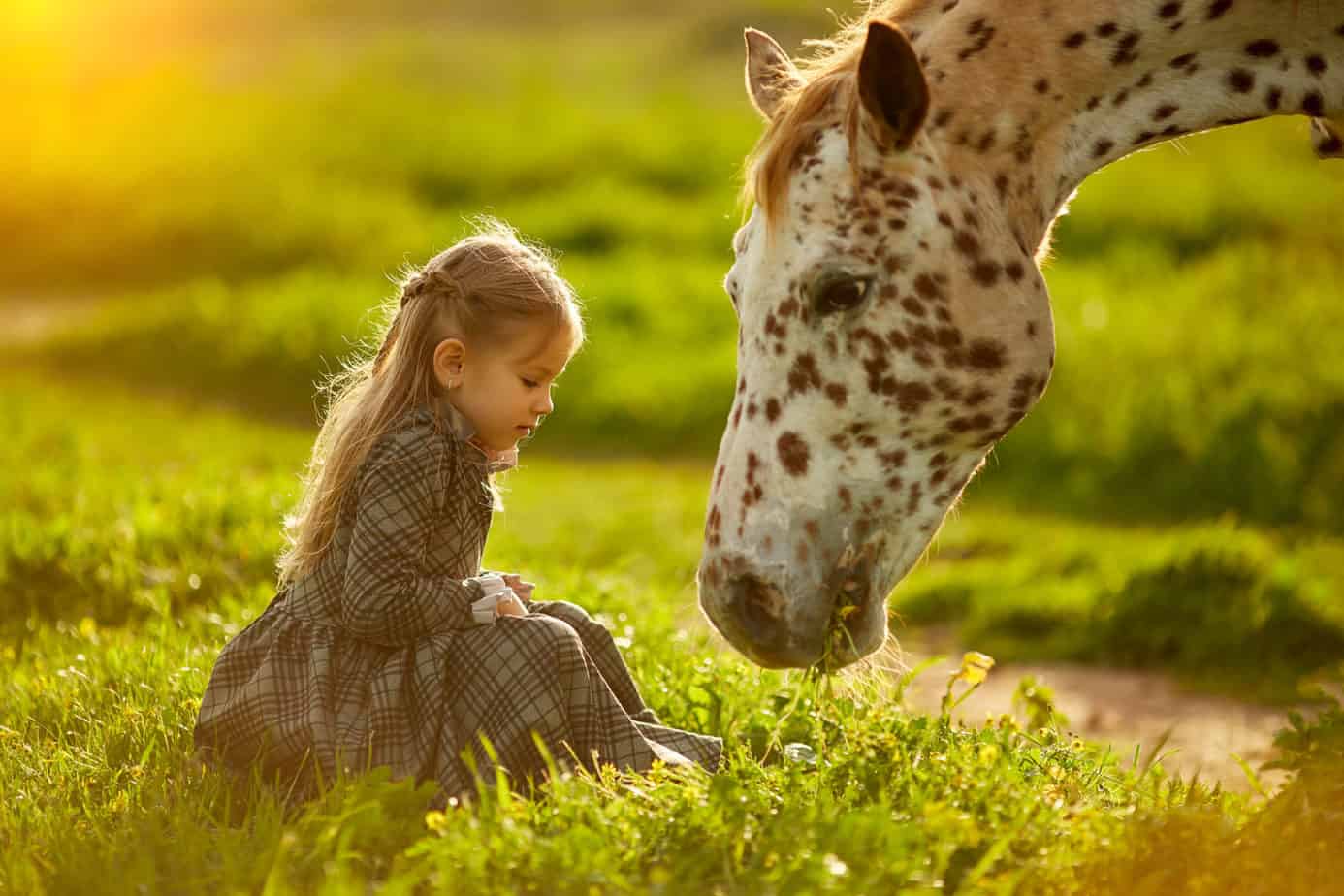 How To Teach An Autistic Child To Respect Animals Safe Sleep Systems How To Teach An Autistic Child To Respect Animals Safe Sleep Systems